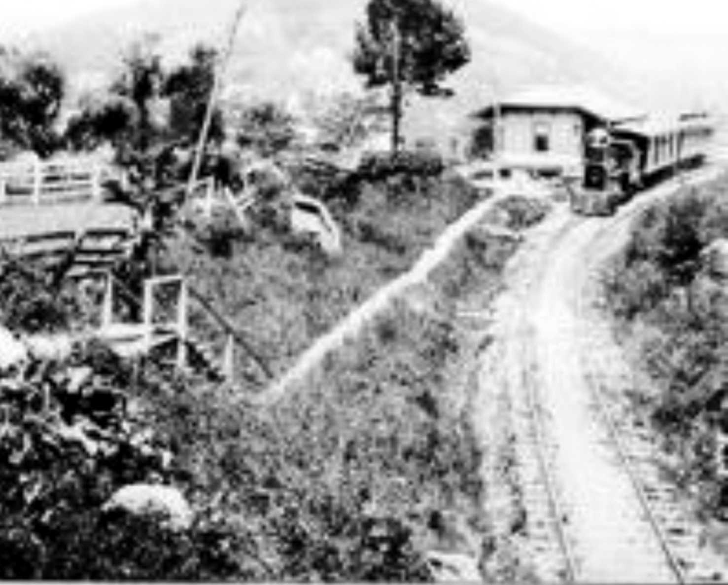 NORFOLK’S RAILROADS: PAST AND PRESENT : Norfolk Now